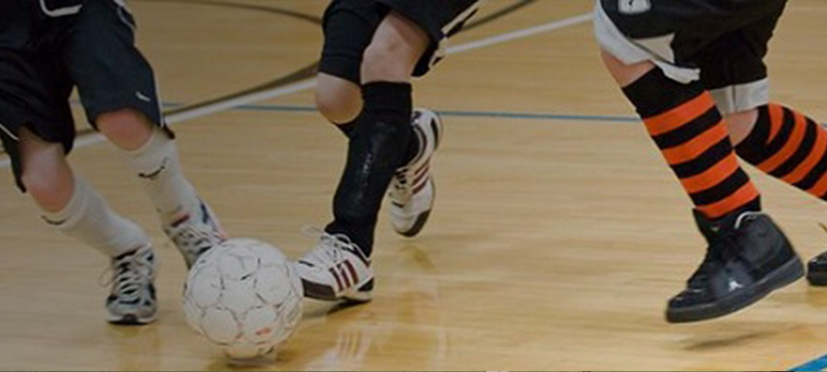 2026 Indoor Soccer - Wayne PAL